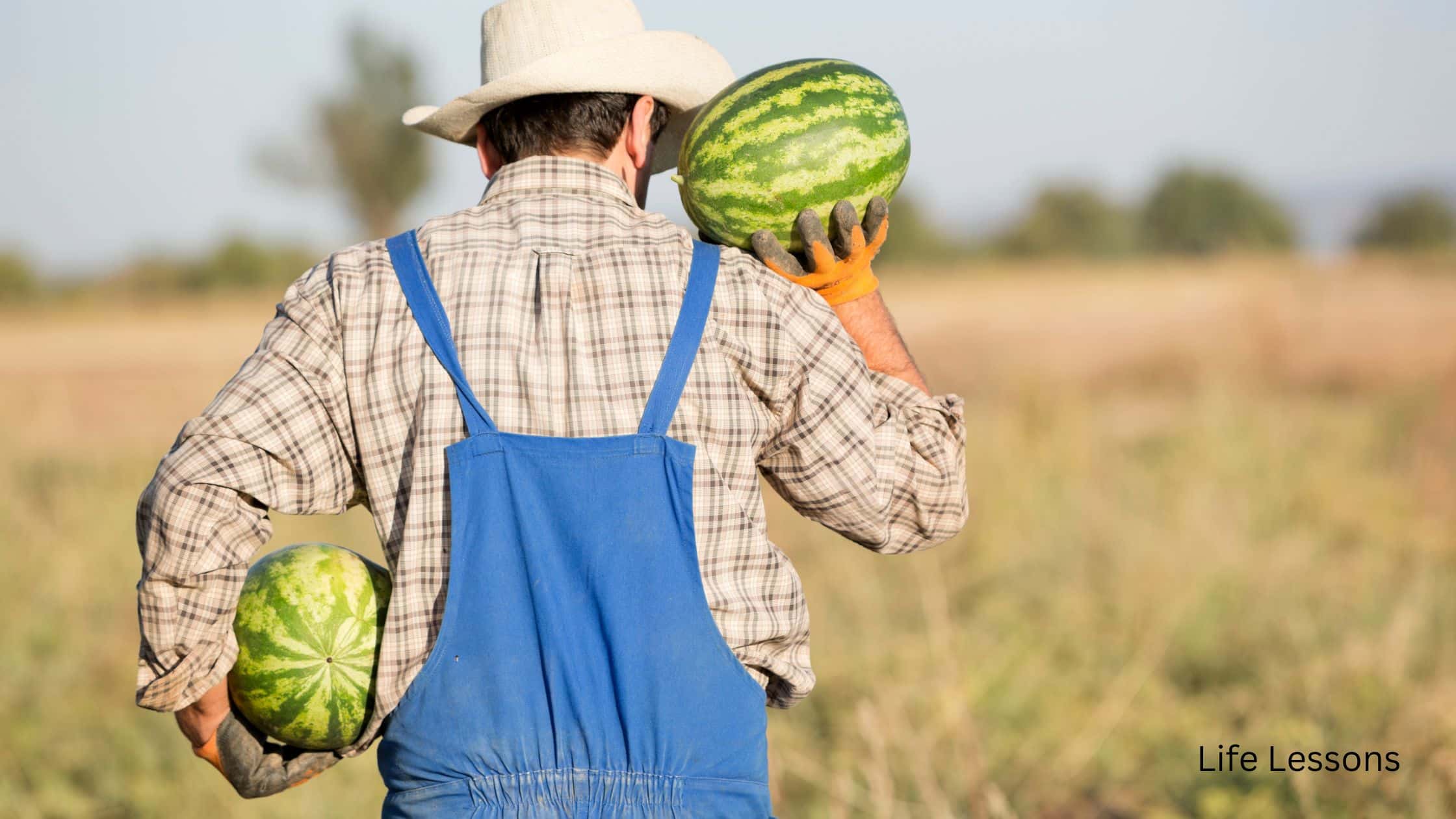 The Watermelon Lesson: Learning What’s Right from a Farmer’s Field ...